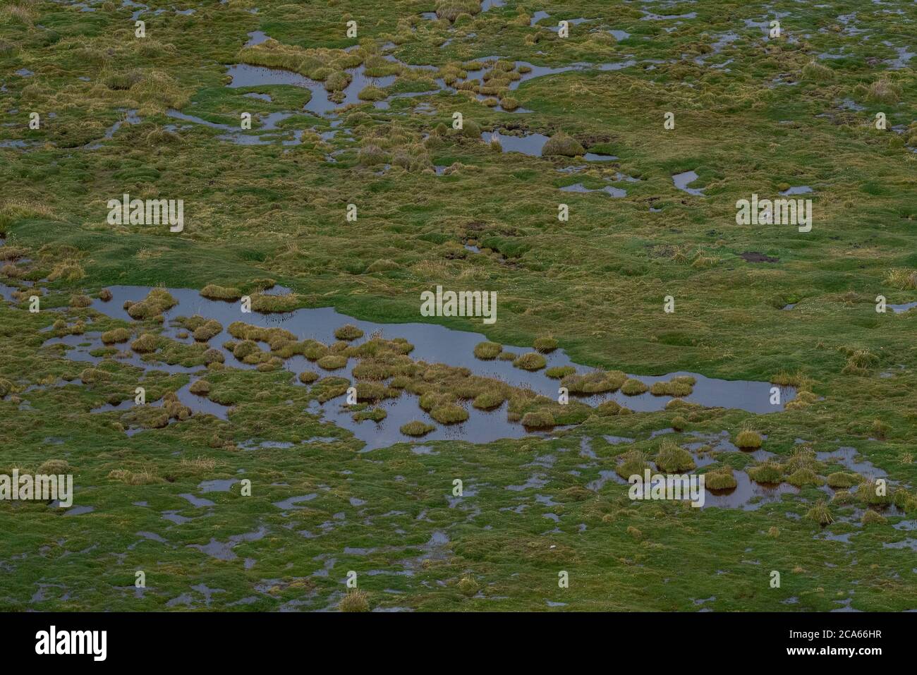 Wetland and mountains hi-res stock photography and images - Alamy