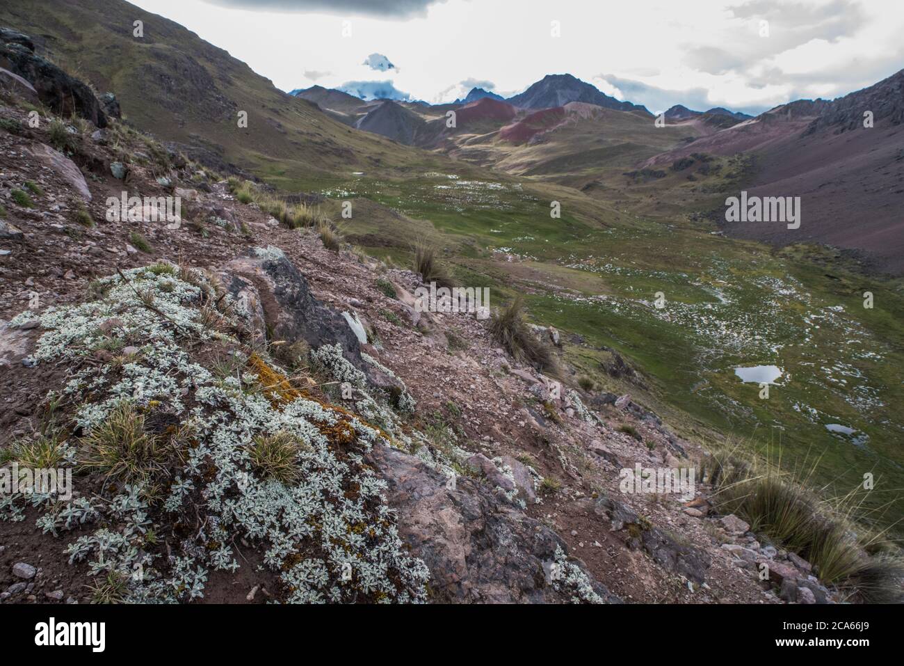 A valley high in the Peruvian Andes of the Cordillera Vilcanota Stock ...