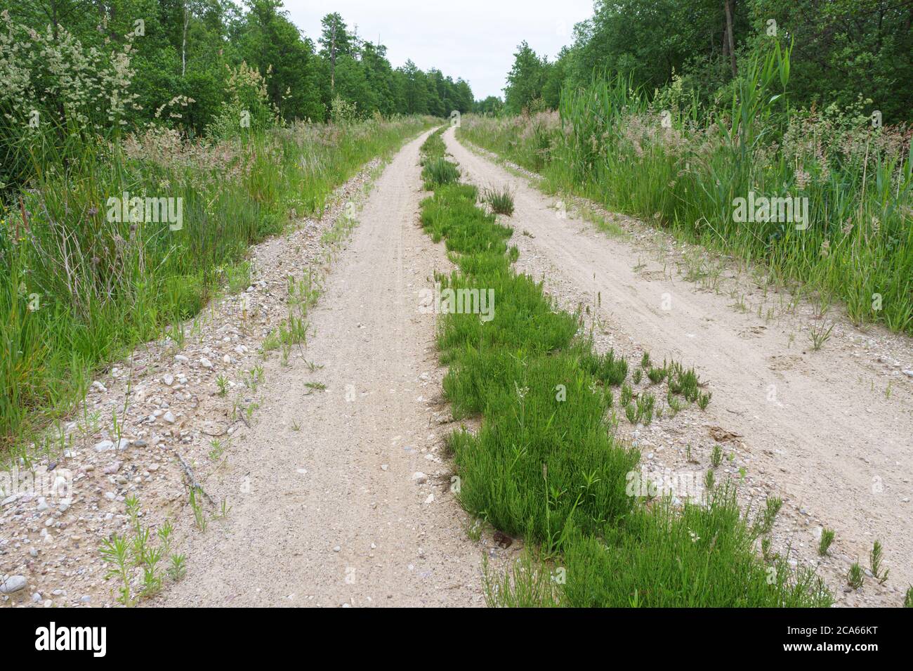 dirt road outside the city, the road is unpaved Stock Photo - Alamy