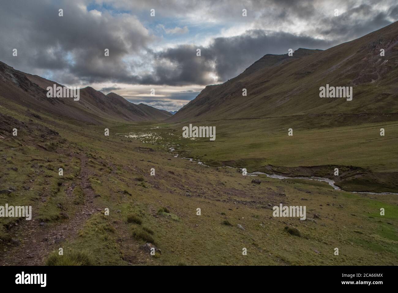 A valley high in the Andes mountains, the bofedales or high altitude ...