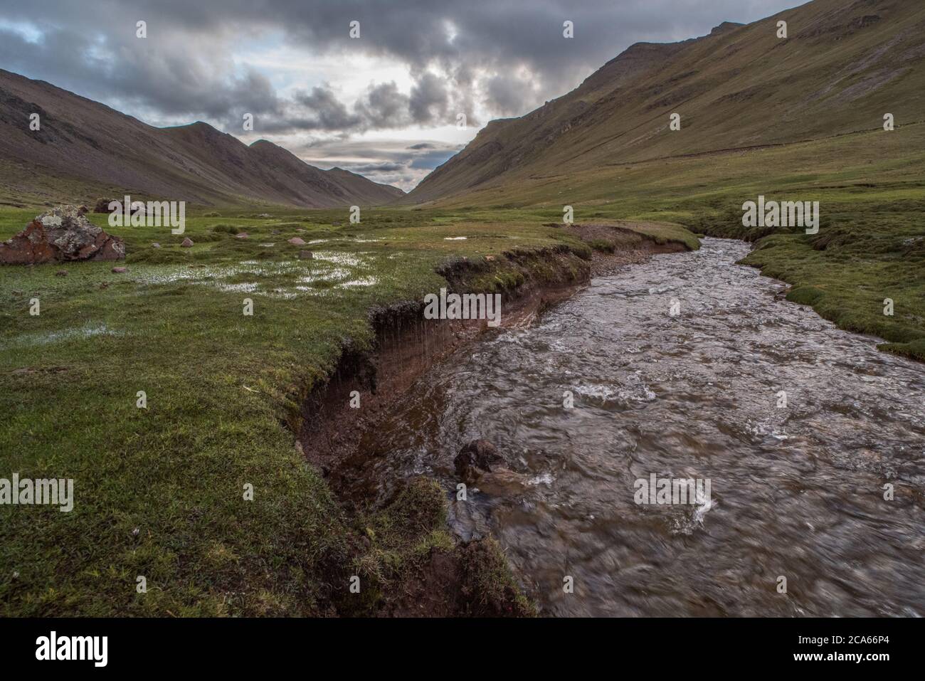A valley high in the Andes mountains, the bofedales or high altitude ...