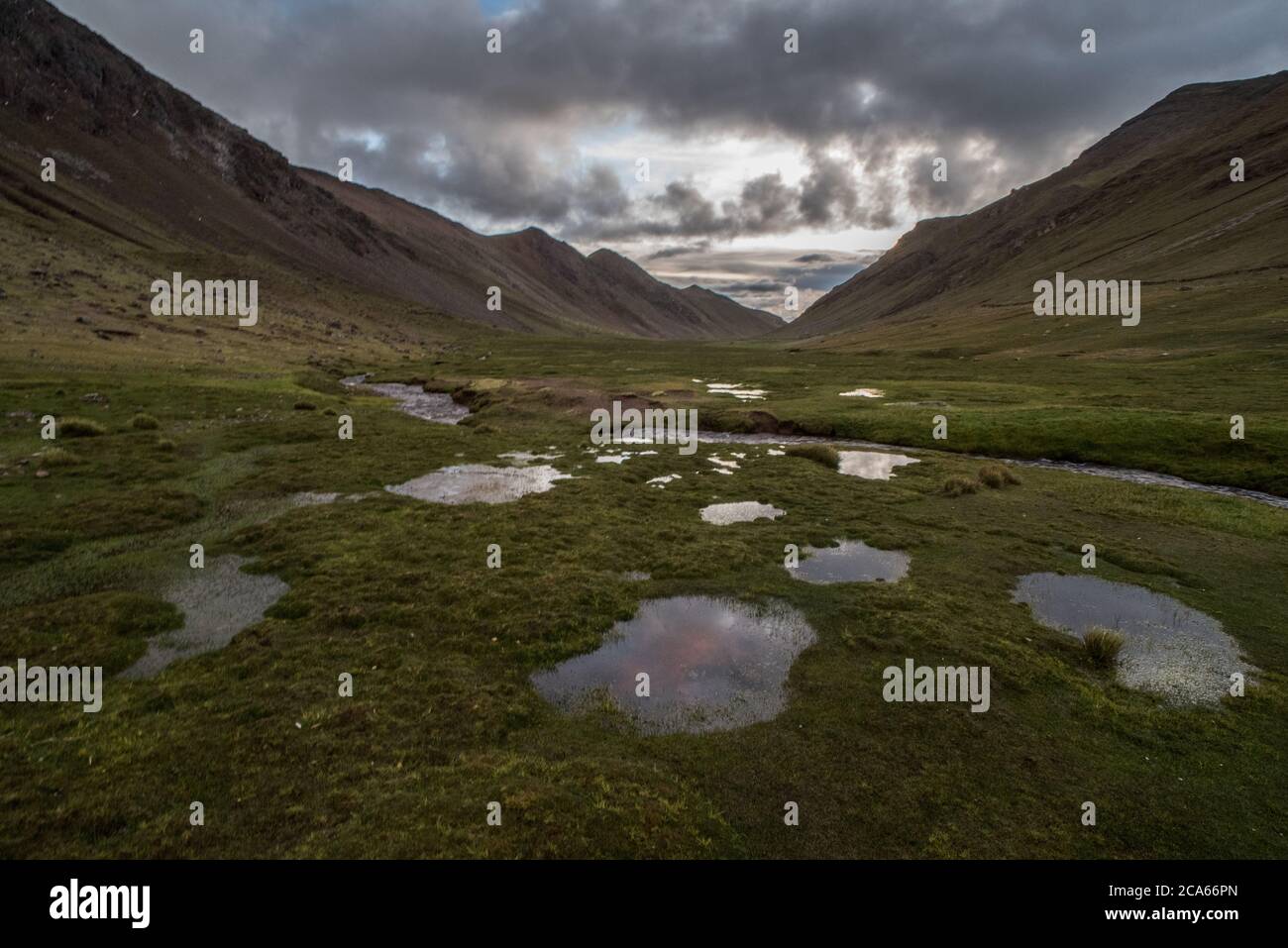 A valley high in the Andes mountains, the bofedales or high altitude ...