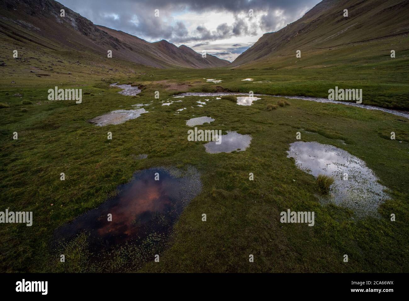 A valley high in the Andes mountains, the bofedales or high altitude ...