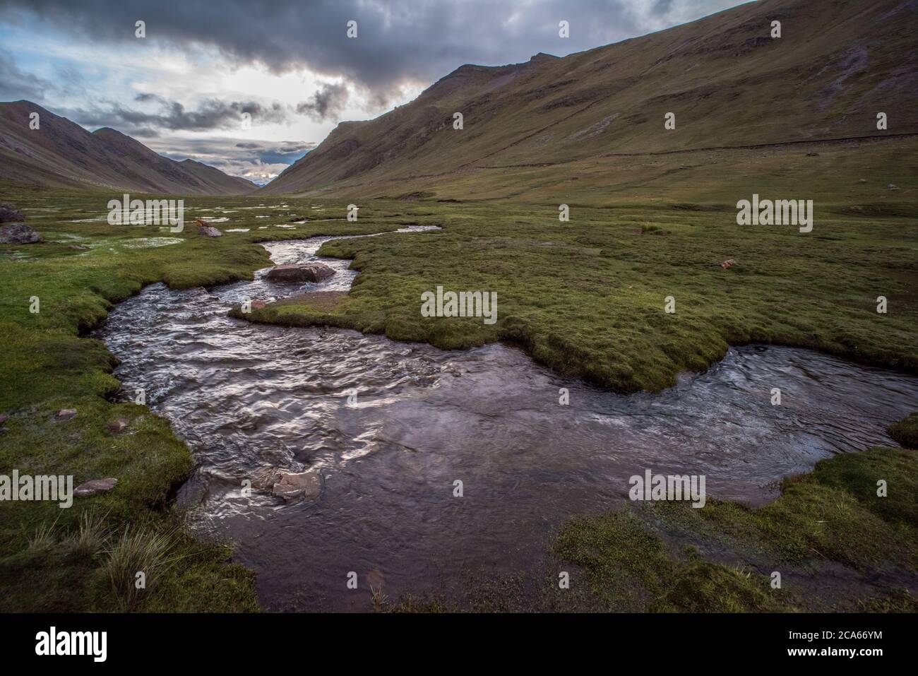 A valley high in the Andes mountains, the bofedales or high altitude ...