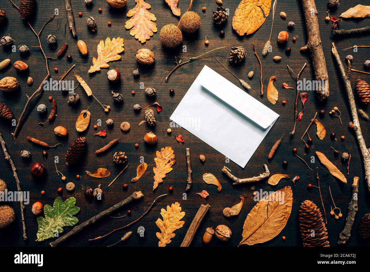 Blank mail envelope mock up top view flat lay with autumn season ...