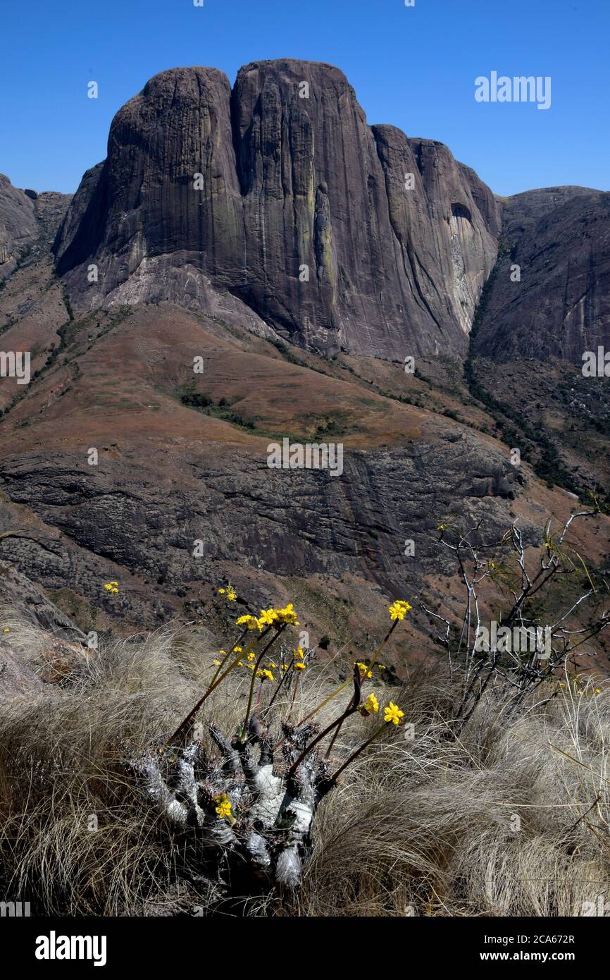 Madagascar landscapes hi-res stock photography and images - Alamy