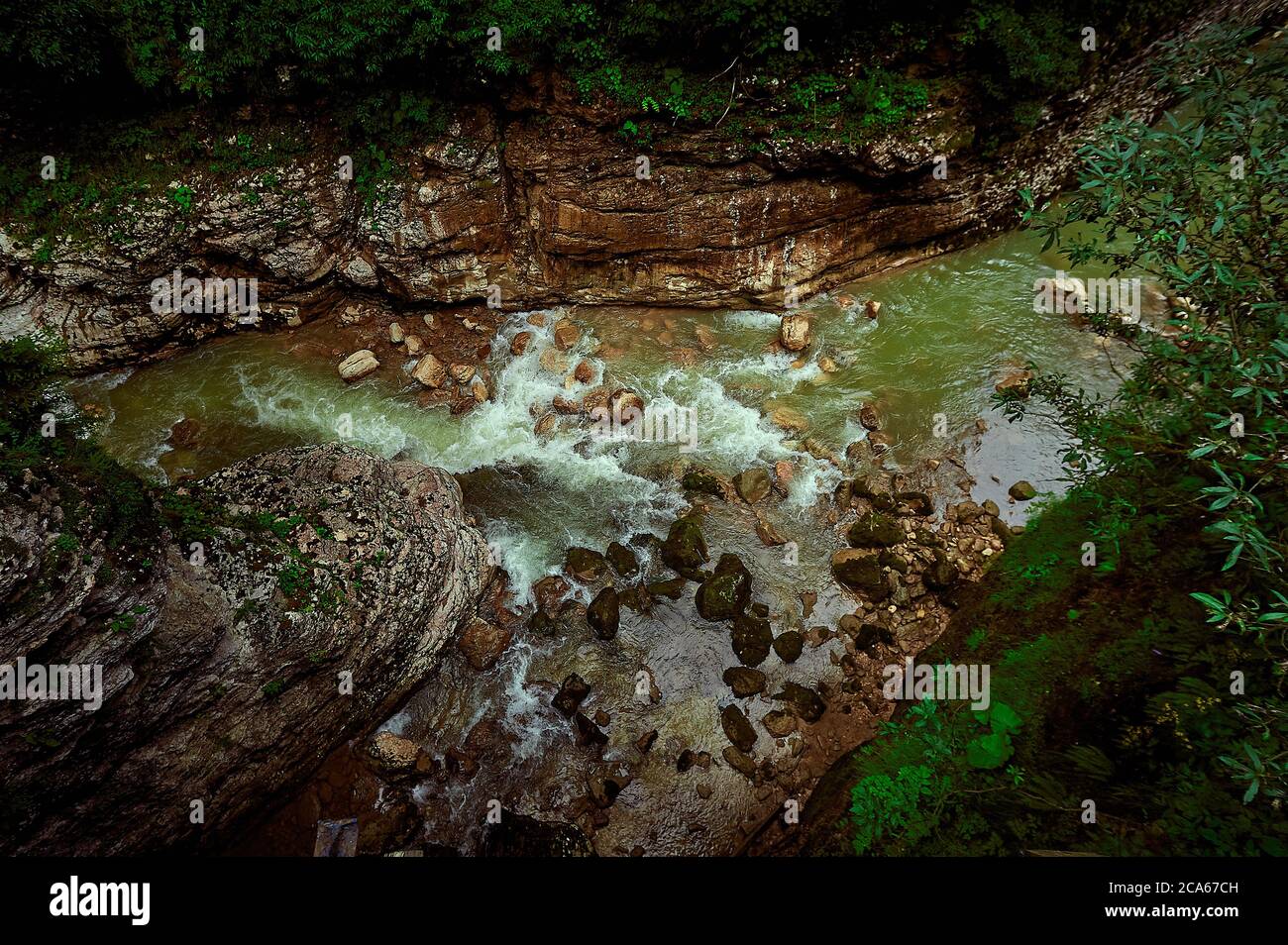 A river running through a forest Stock Photo - Alamy
