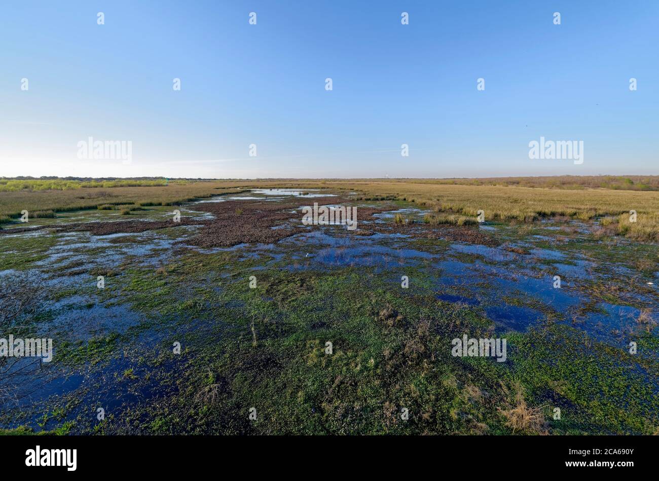 The Marshes or Wetlands to the North of 40 Acre Lake, looking towards ...