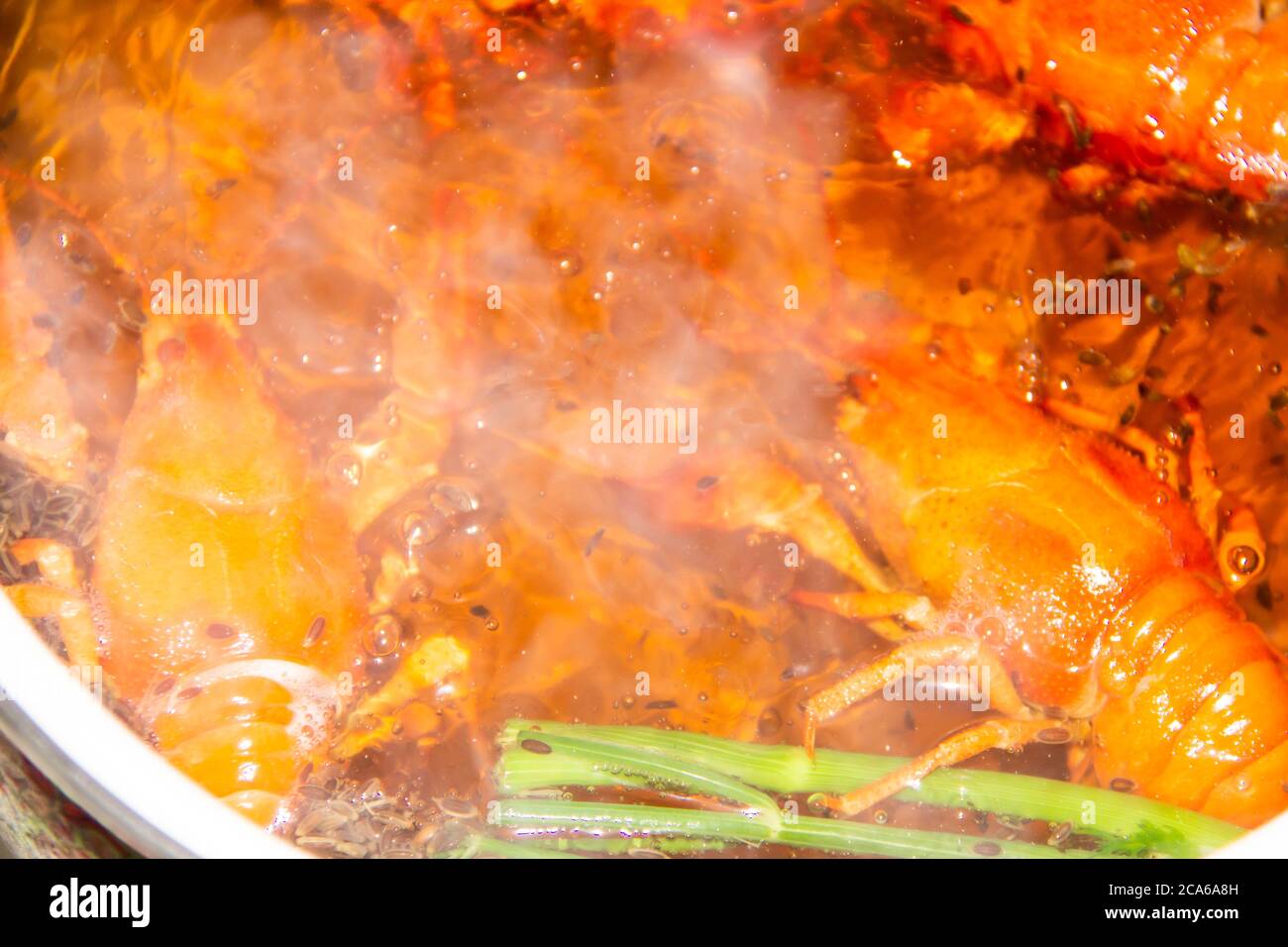 A Boiled crayfish in boiling water in a pot. Preparation of crayfish in ...