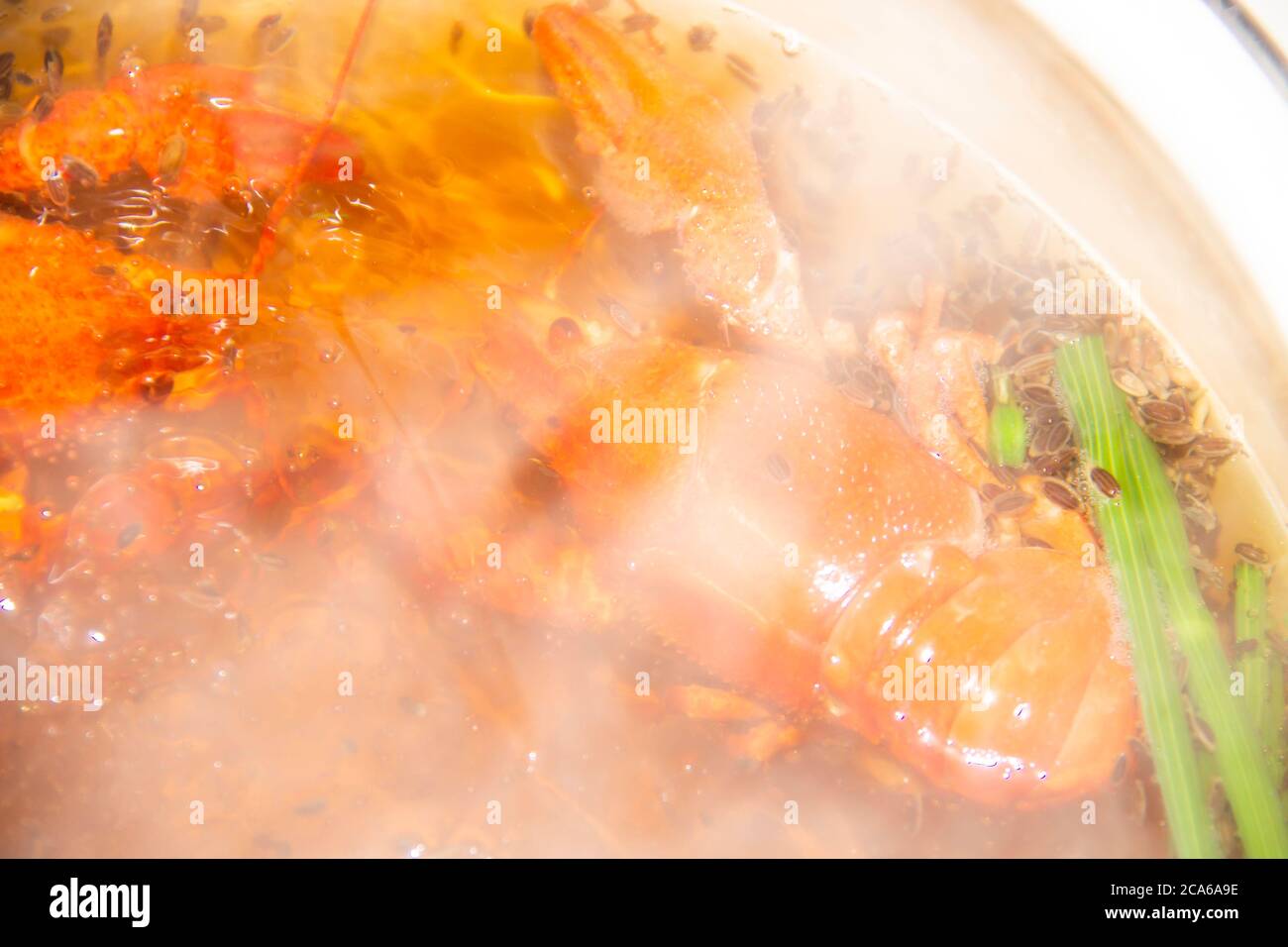 A Boiled crayfish in boiling water in a pot. Preparation of crayfish in ...