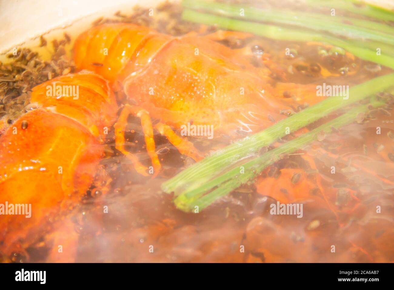 A Boiled crayfish in boiling water in a pot. Preparation of crayfish in ...