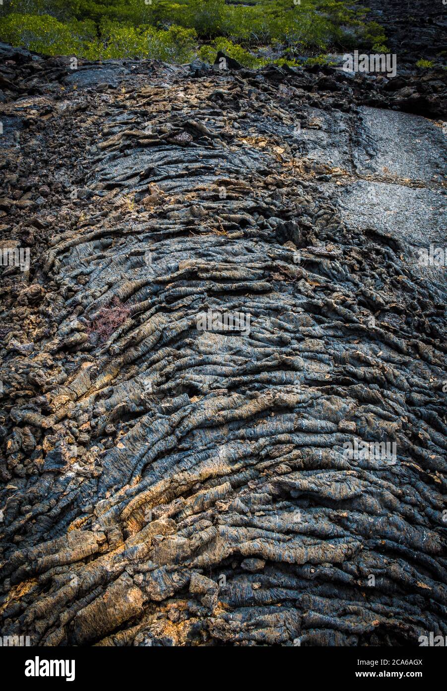 Cooled off lava on the Galapagos Islands Stock Photo - Alamy