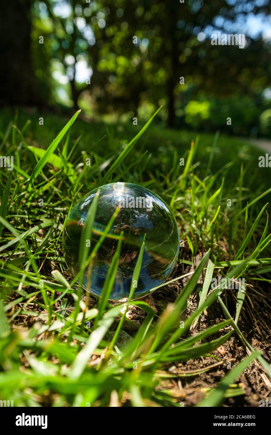 Fortune tellers magic glass crystal ball in nature Stock Photo - Alamy