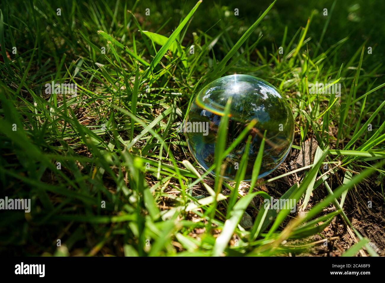 Fortune tellers magic glass crystal ball in nature Stock Photo - Alamy