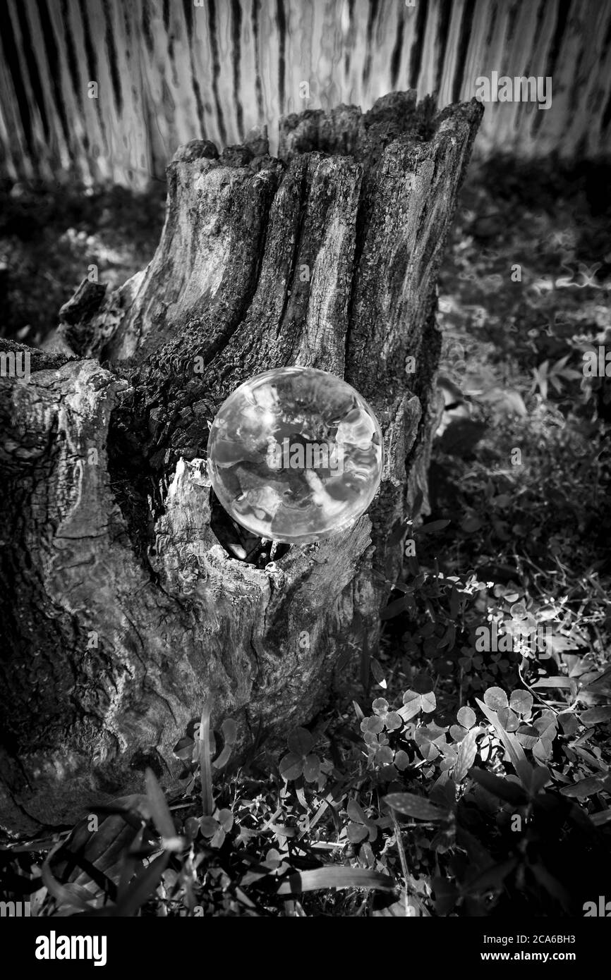 Fortune tellers magic glass crystal ball in nature Stock Photo - Alamy