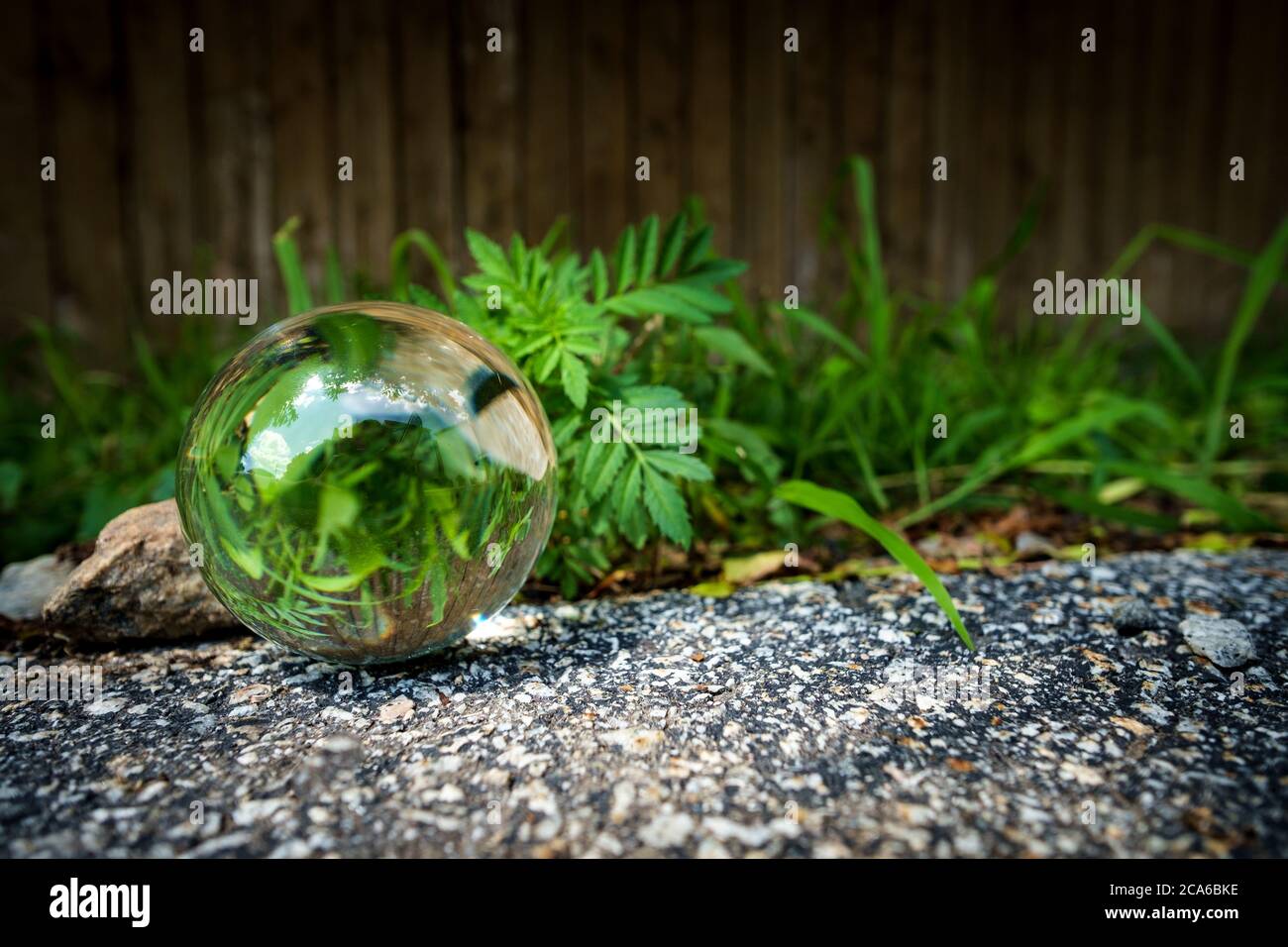 Fortune tellers magic glass crystal ball in nature Stock Photo - Alamy