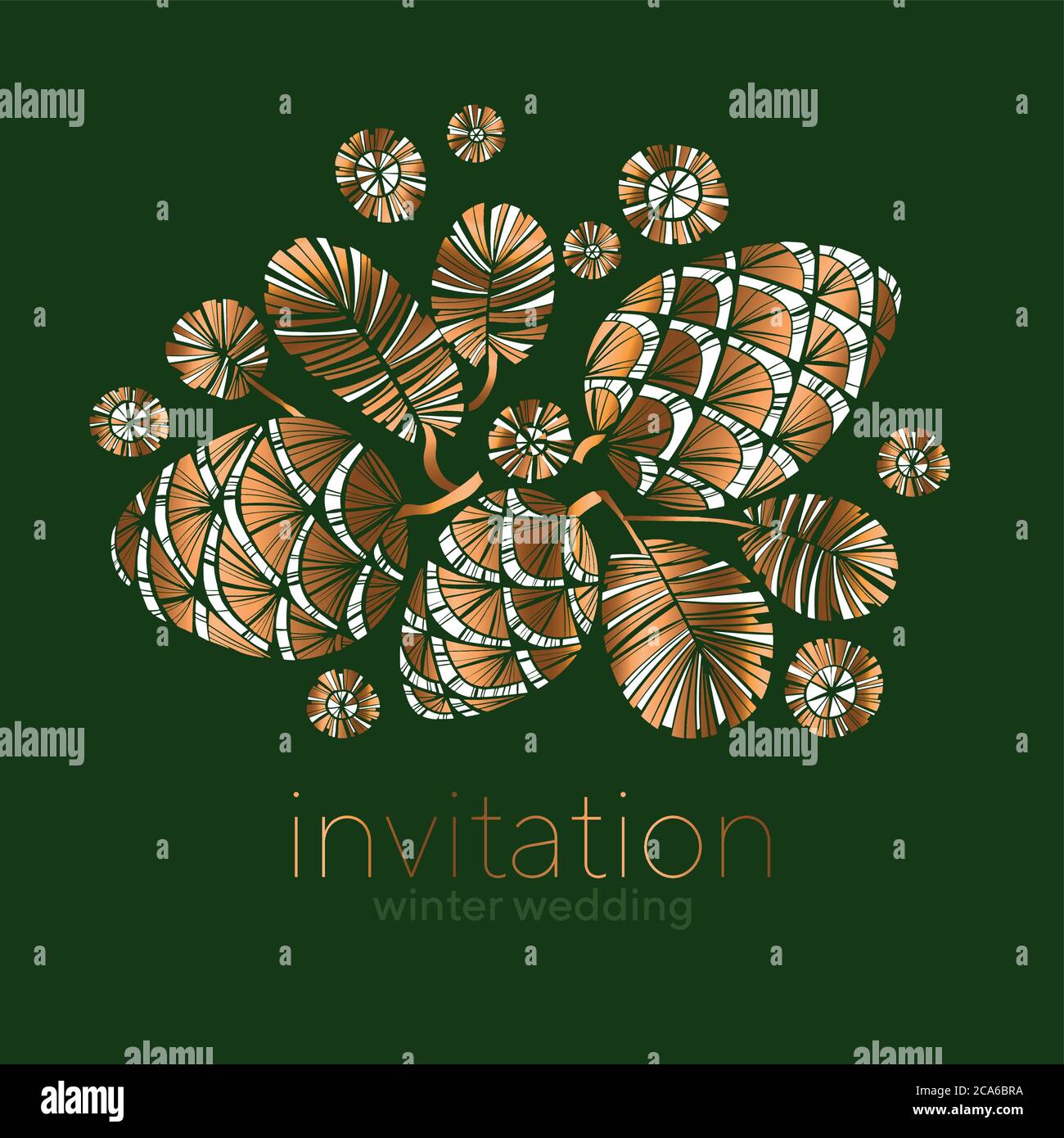 Noble fir cone Stock Vector Images - Alamy