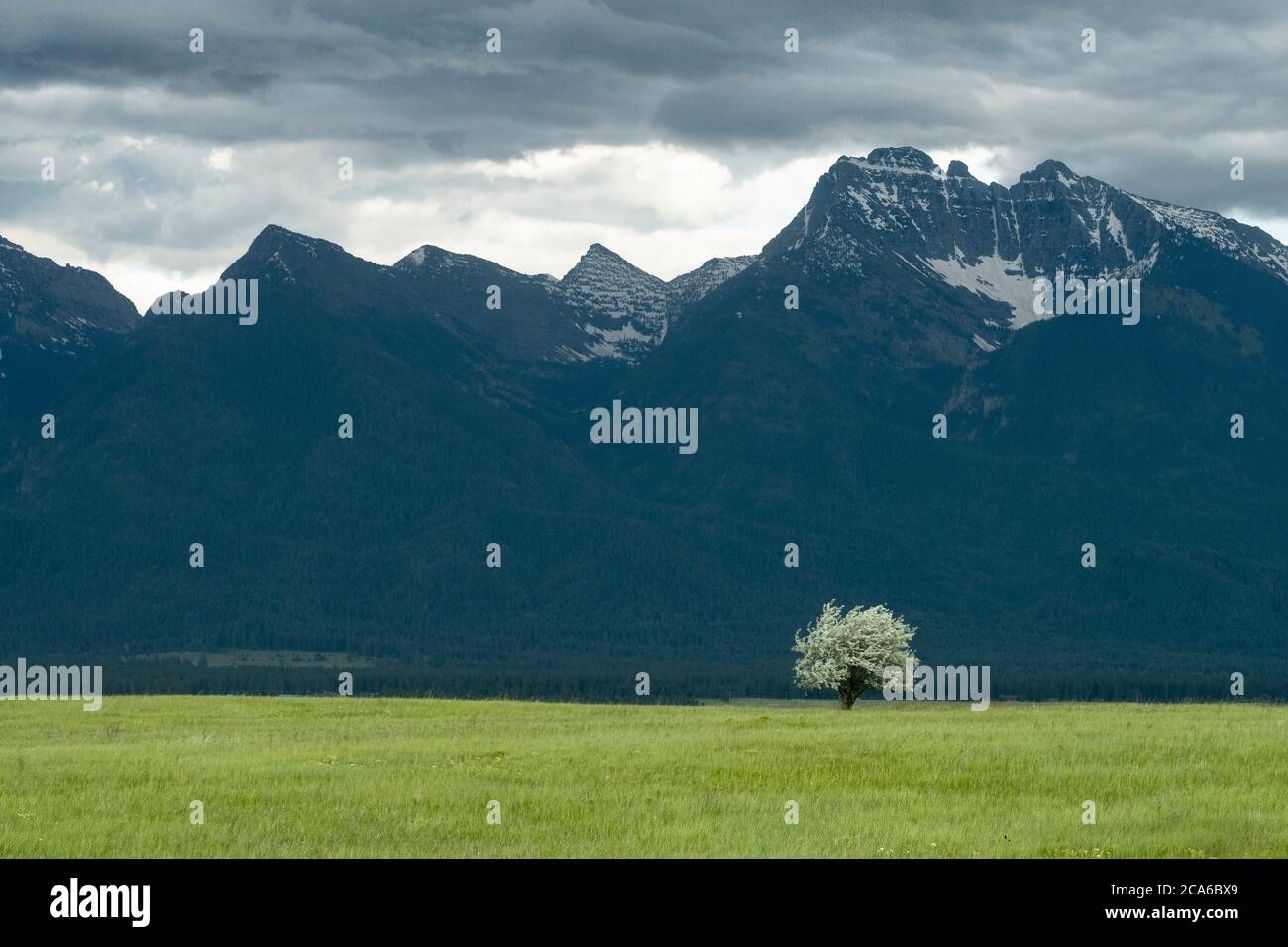 Mission mountains hi-res stock photography and images - Alamy