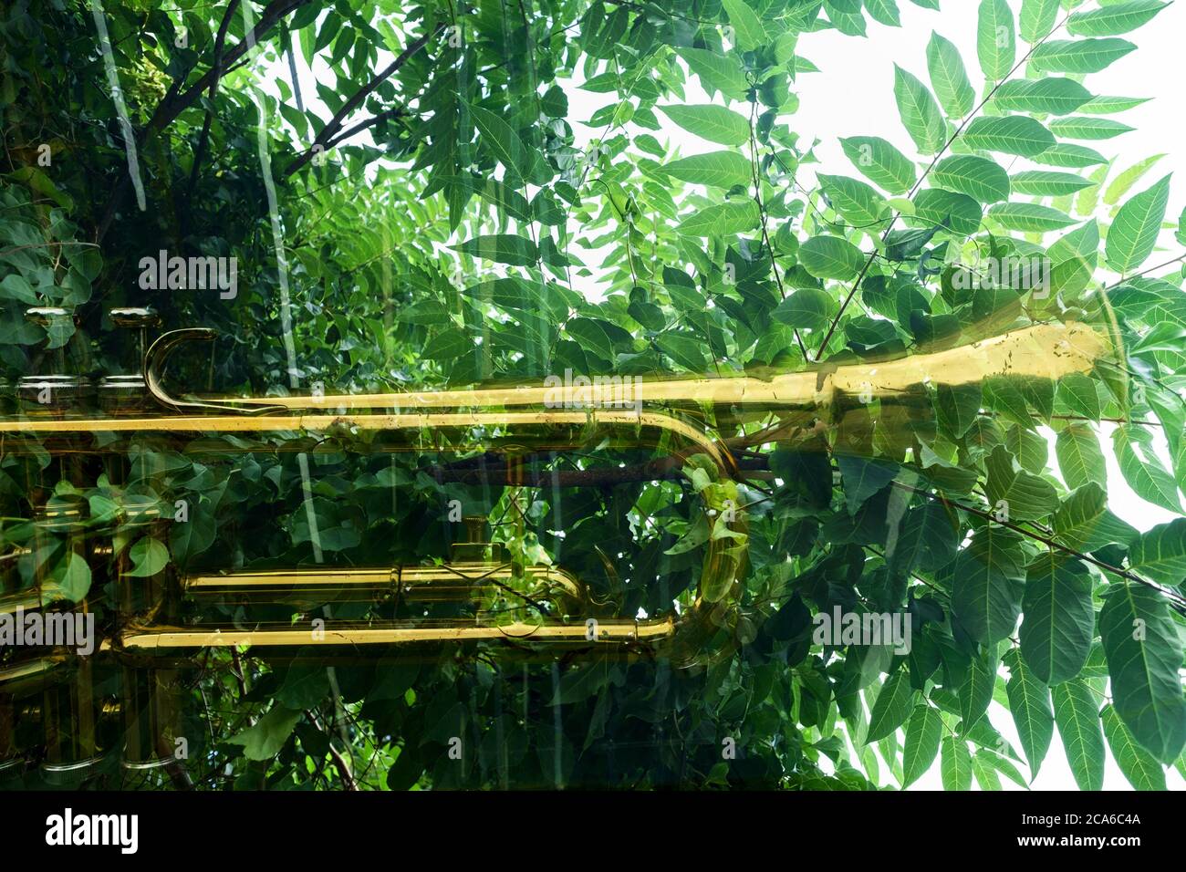 Abstract double exposure nature and old rusty musical instrument ...