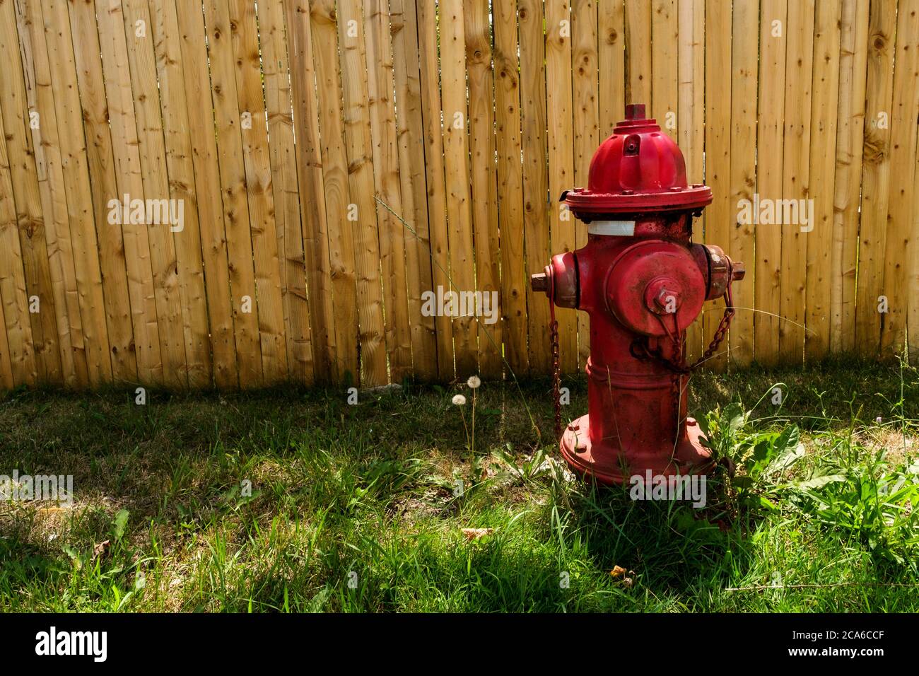 Red American fire hydrant for use by firefighters Stock Photo - Alamy