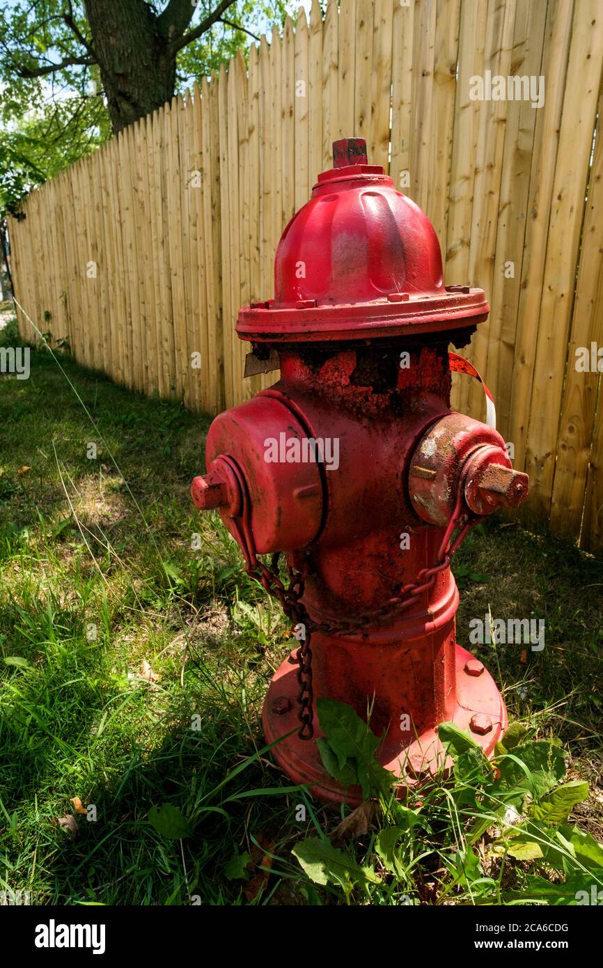 Red American fire hydrant for use by firefighters Stock Photo - Alamy