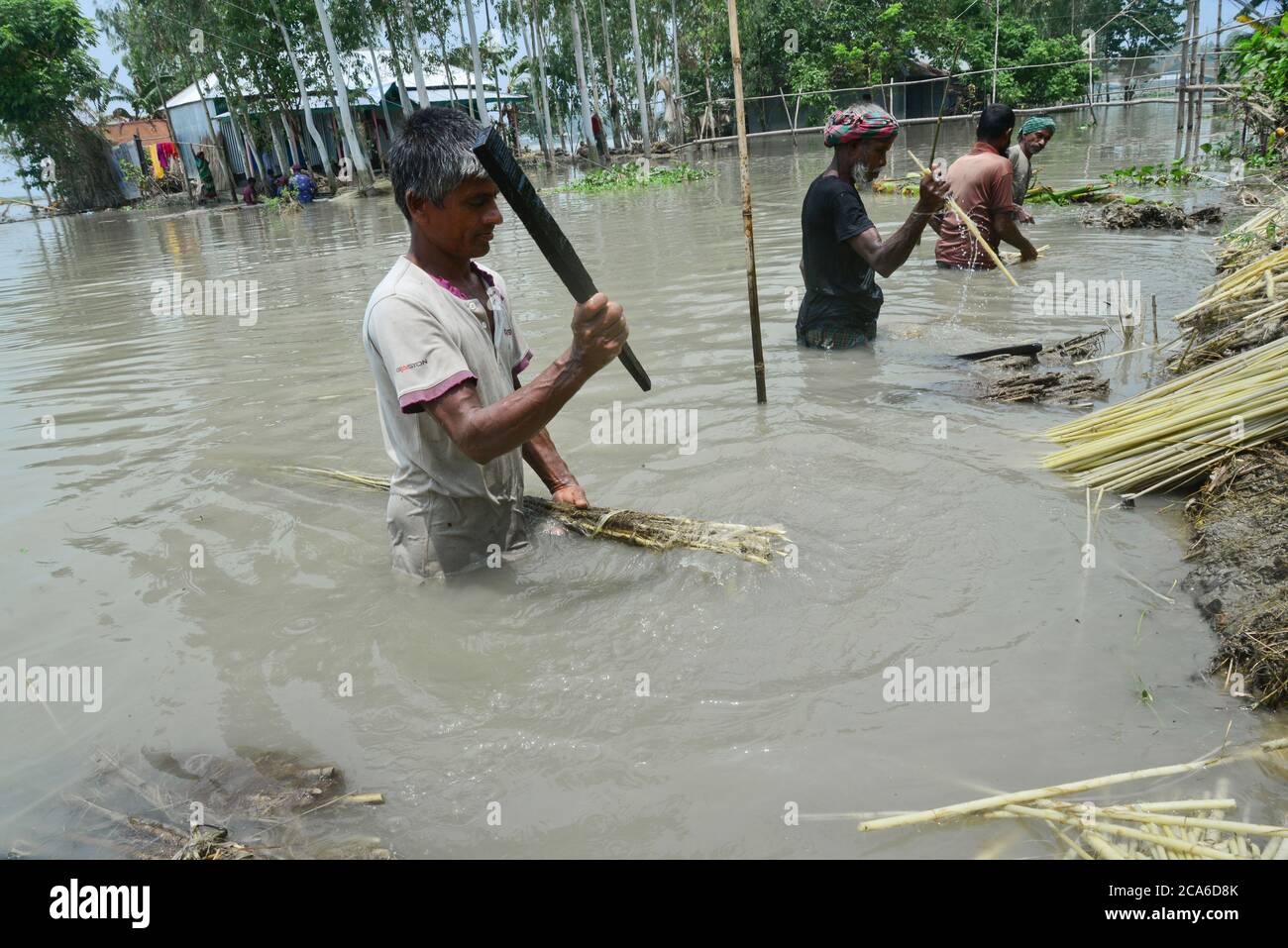 Jute washing hi-res stock photography and images - Alamy