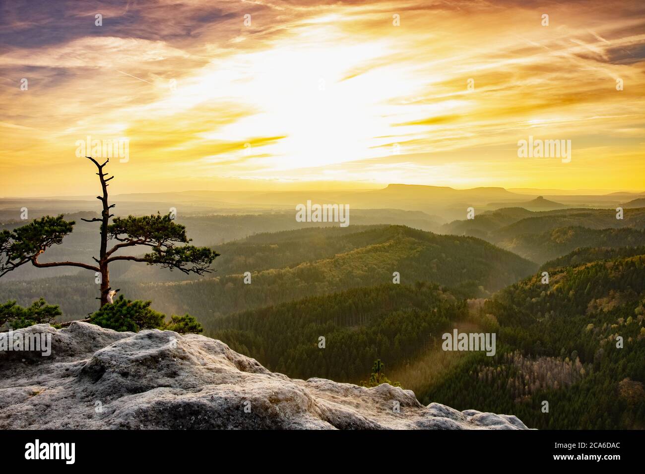 The pine trees growing on the precipice of the inspiring, sacred and ...