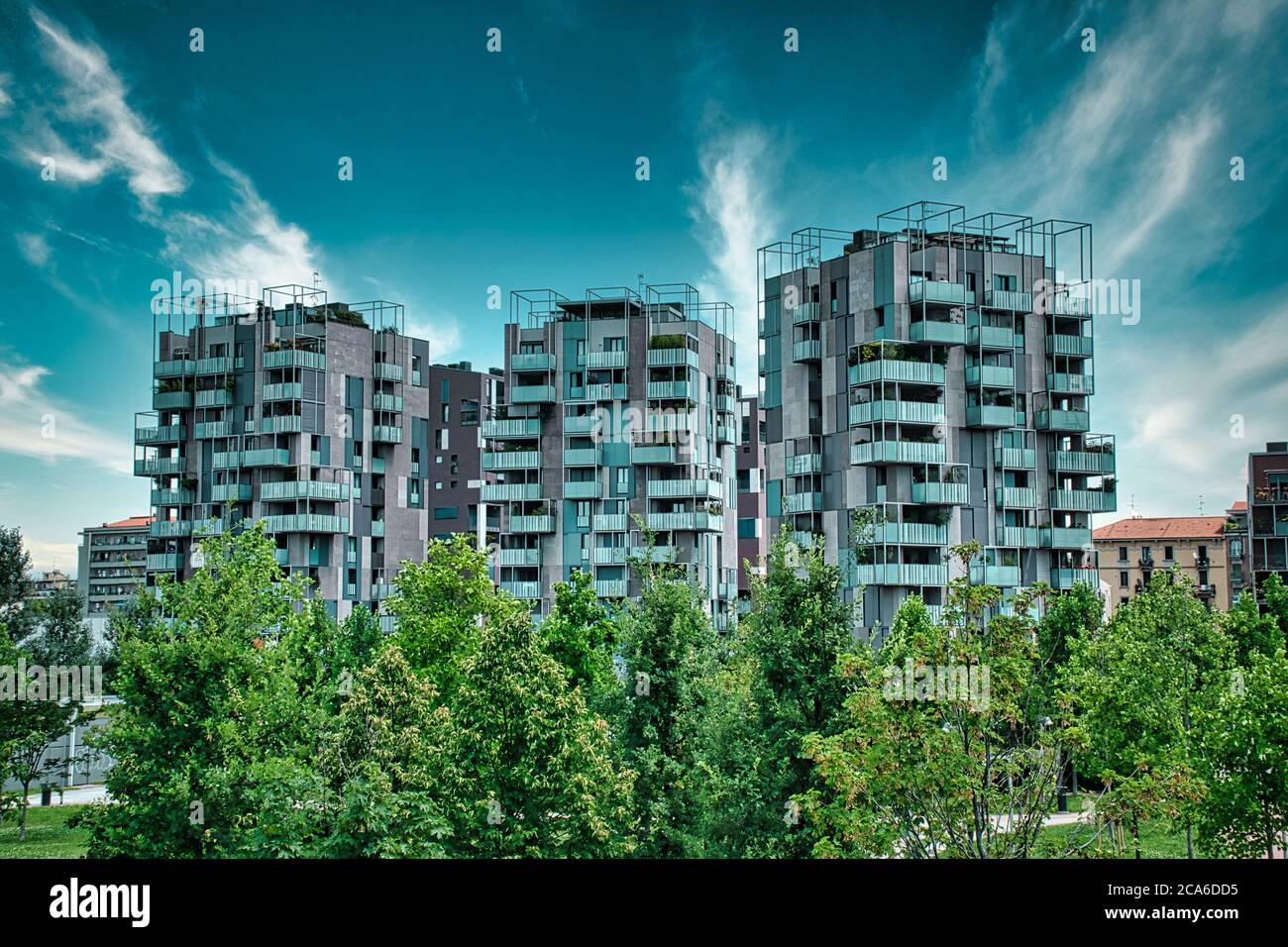 Alfa grass hi-res stock photography and images - Alamy