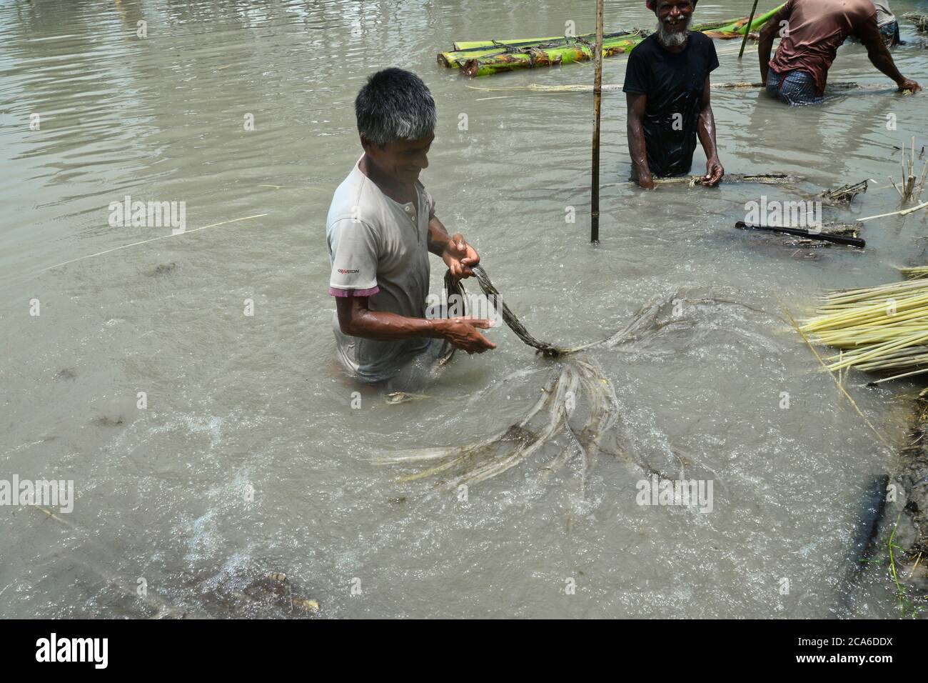 Jute washing hi-res stock photography and images - Alamy