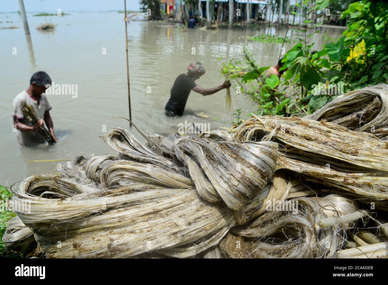 Jute bangladesh child hi-res stock photography and images - Alamy
