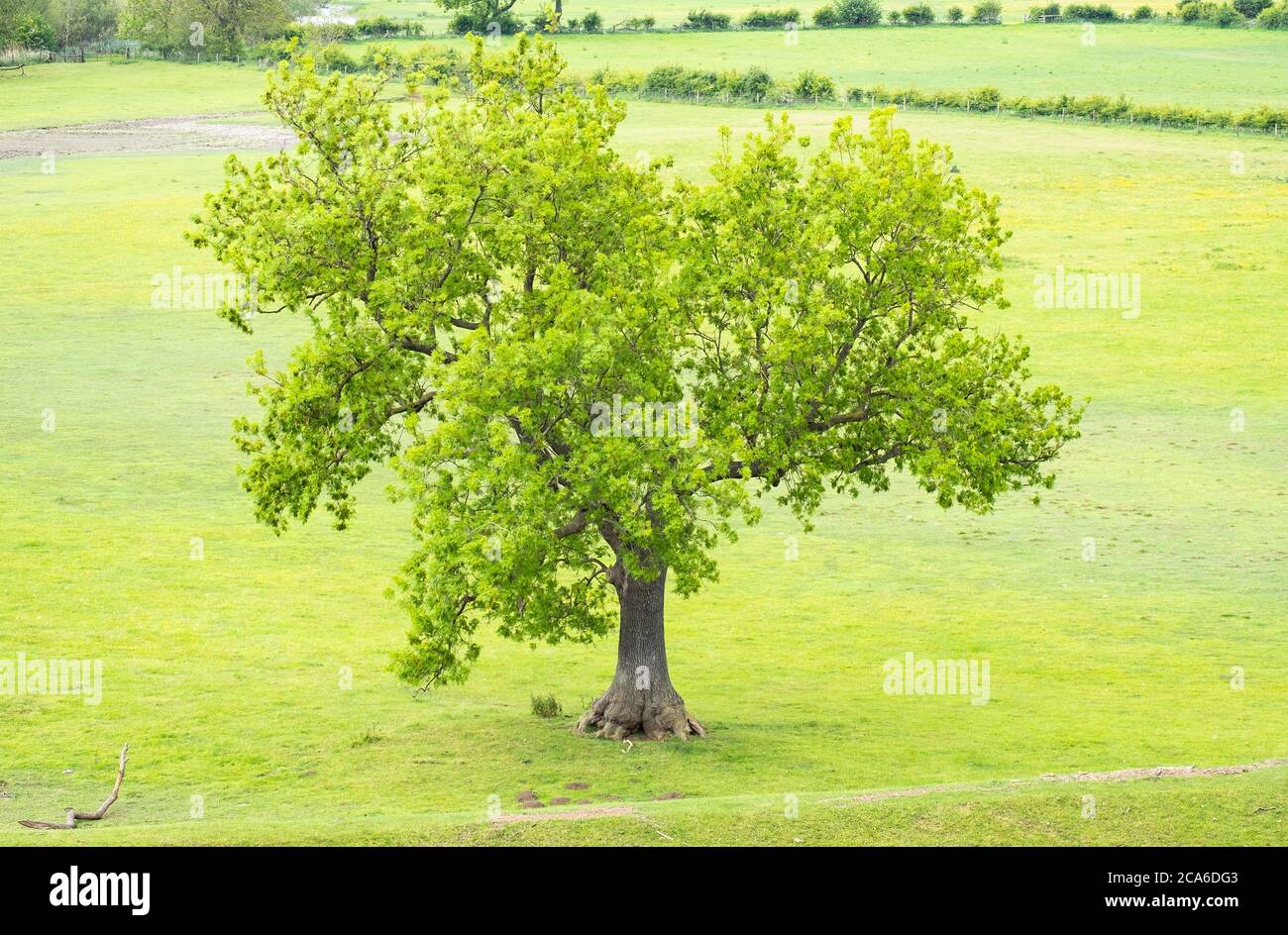 Featureless terrain hi-res stock photography and images - Alamy