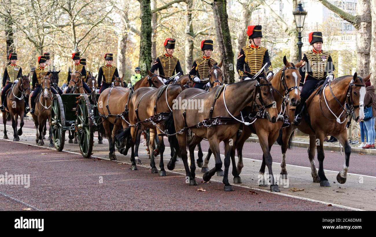 King's Troop, Royal Horse Artillery, London Stock Photo - Alamy