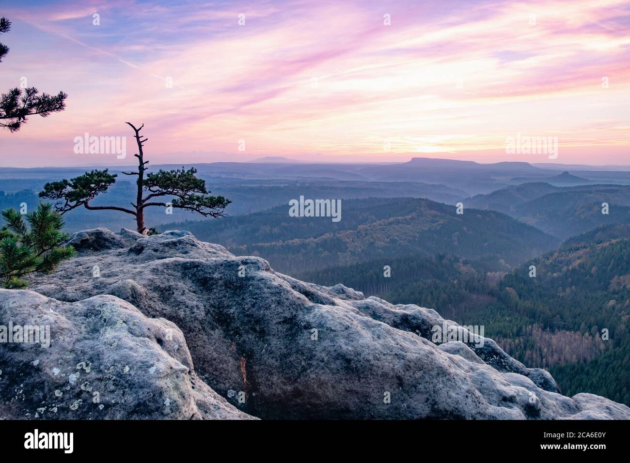 The pine trees growing on the precipice of the inspiring, sacred and ...