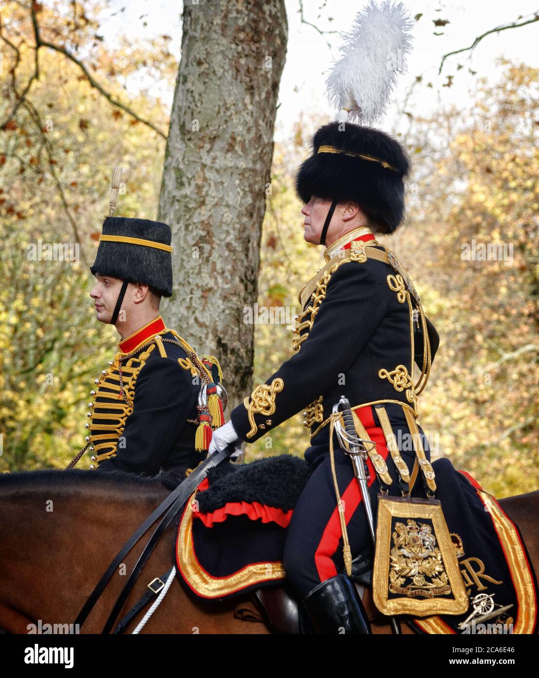 King's Troop, Royal Horse Artillery, London Stock Photo - Alamy
