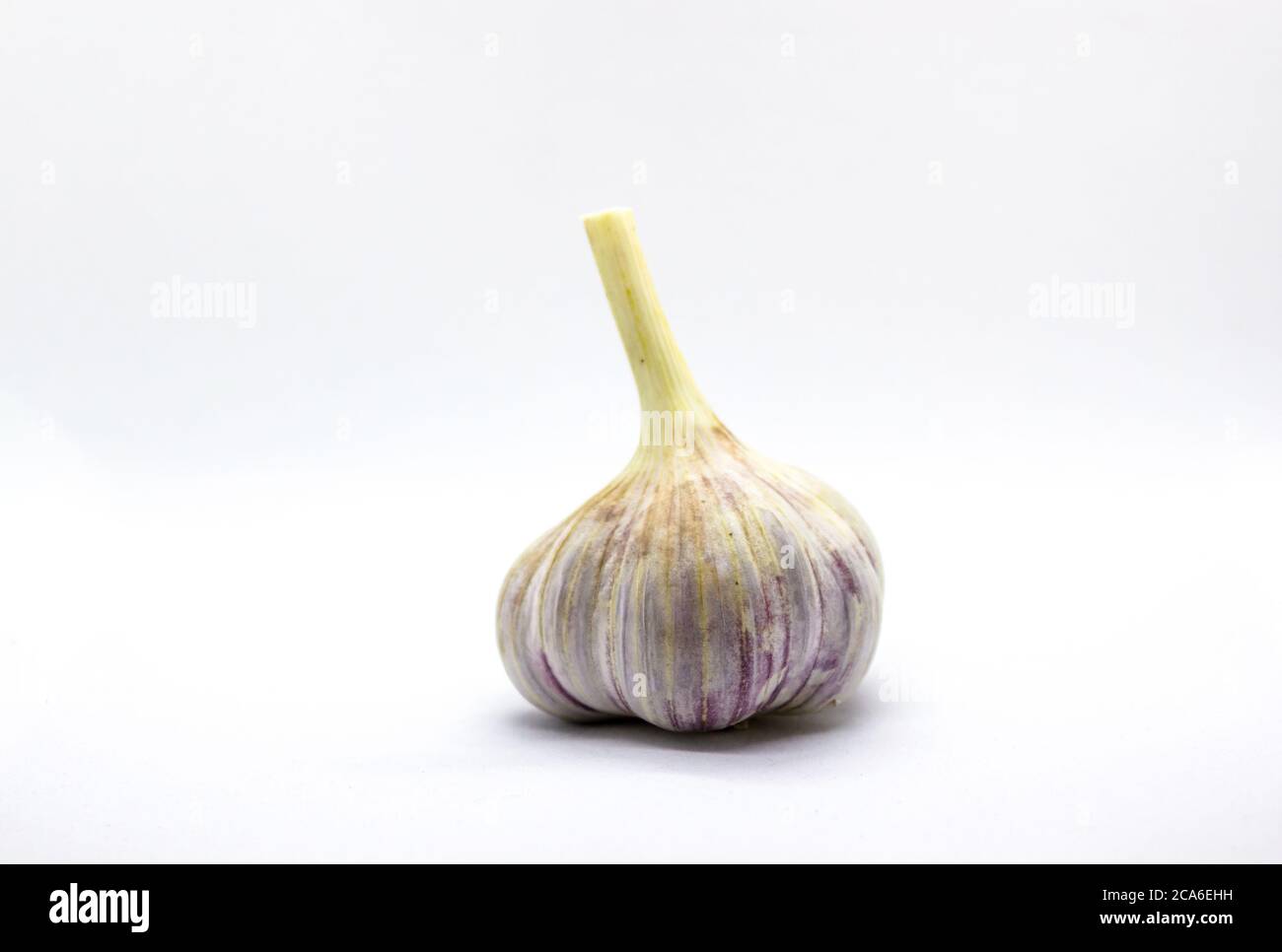 Close up of a raw unpeeled garlic against white background Stock Photo ...
