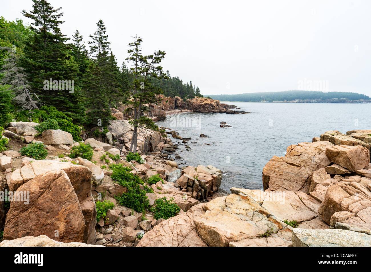 Rugged granite rocks and lush green trees line the Maine coast in ...