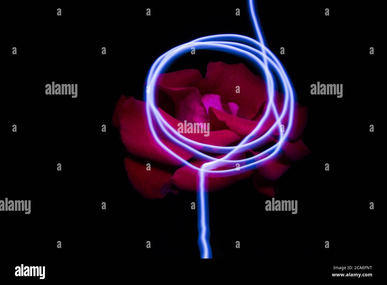 Rose night light hi-res stock photography and images - Alamy