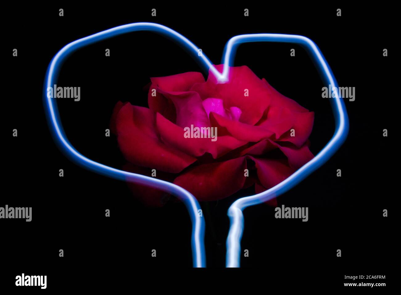 Rose night light hi-res stock photography and images - Alamy