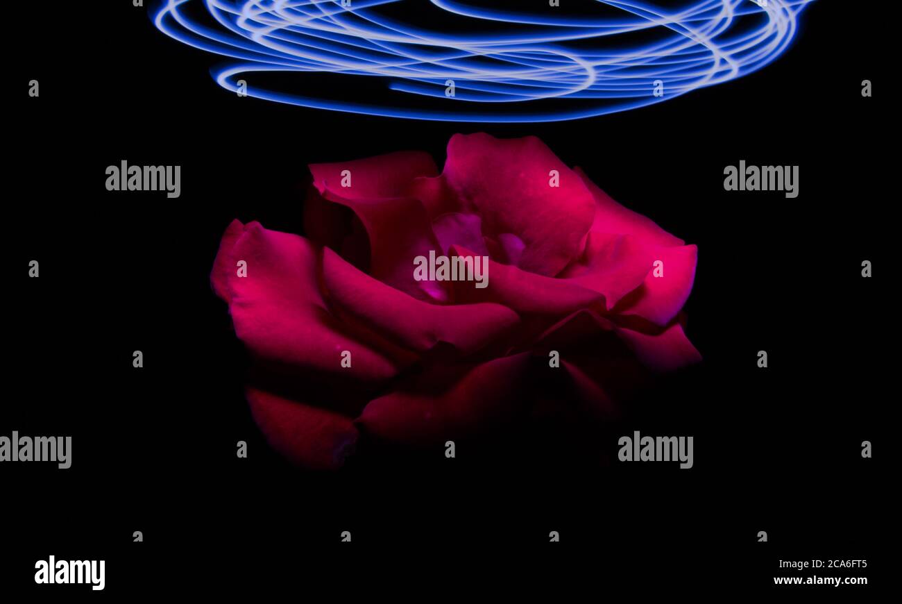 Flower power illustration hi-res stock photography and images - Alamy