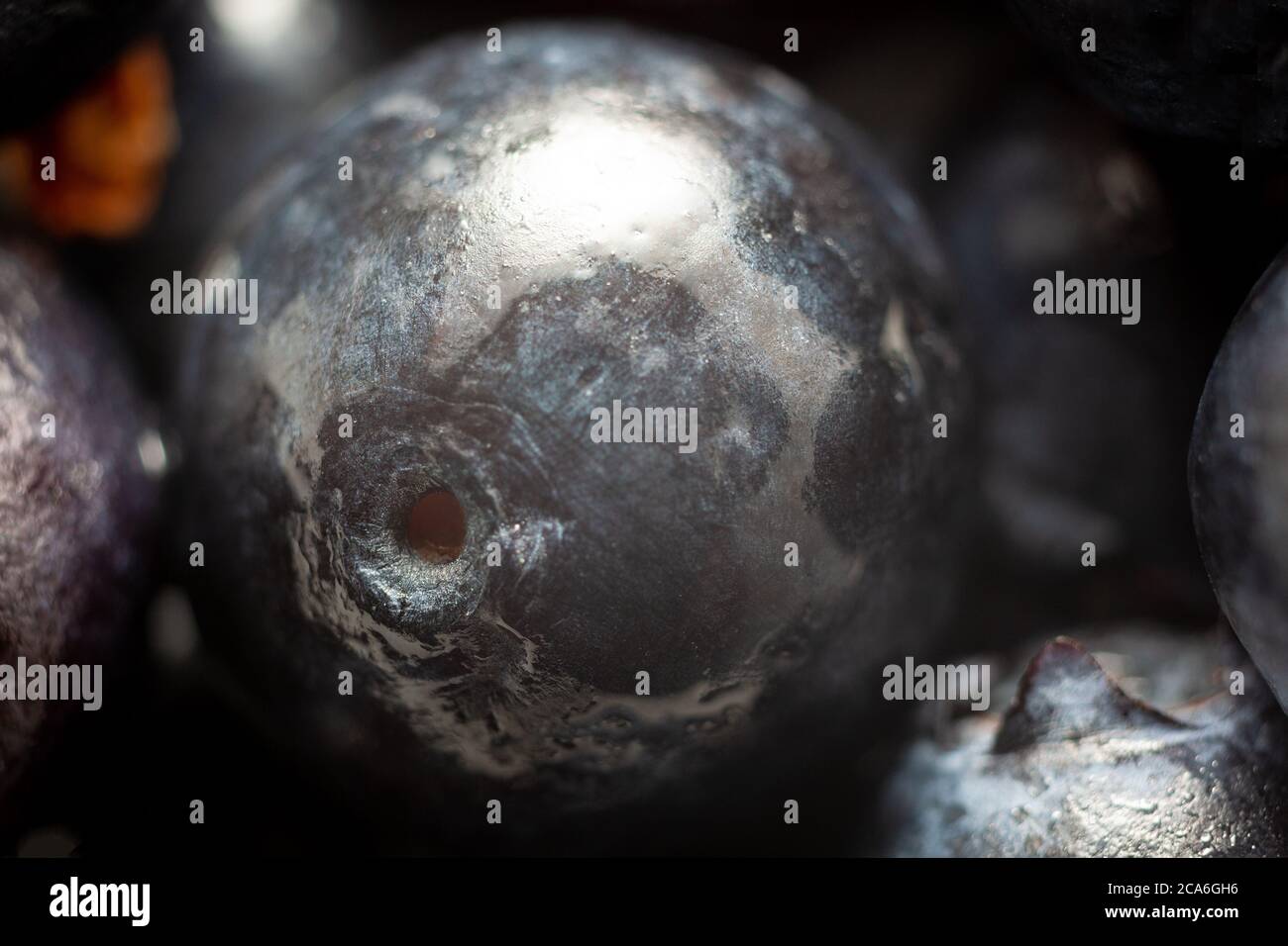 Blueberry - Close Up Stock Photo - Alamy
