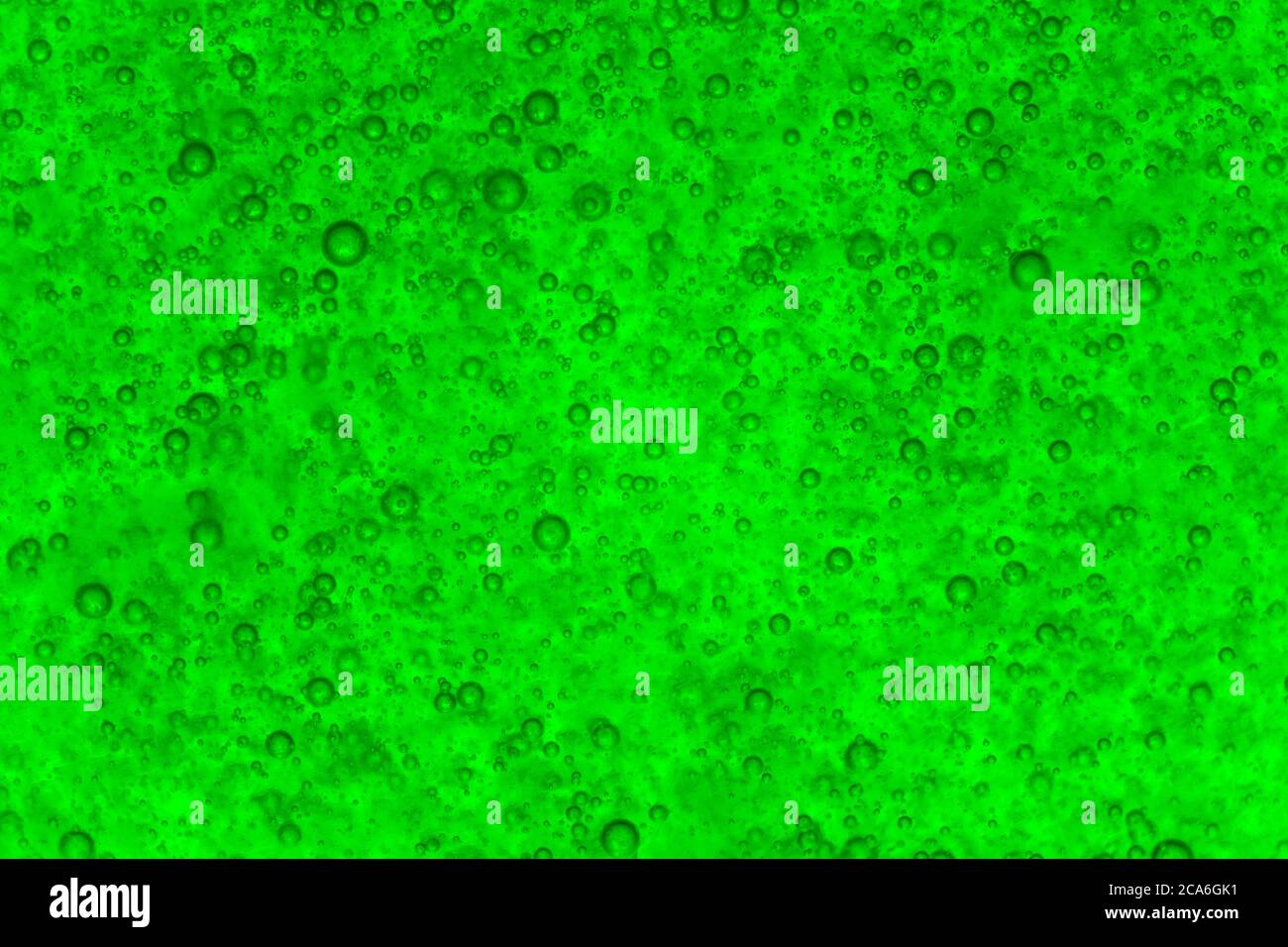 Green background colour hi-res stock photography and images - Alamy