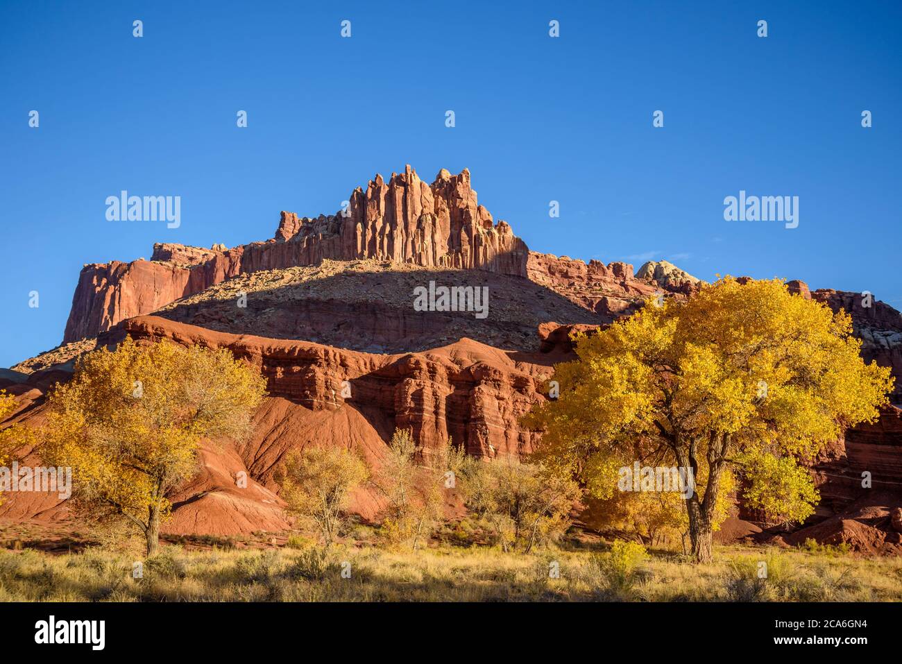 Gv17101013 hi-res stock photography and images - Alamy