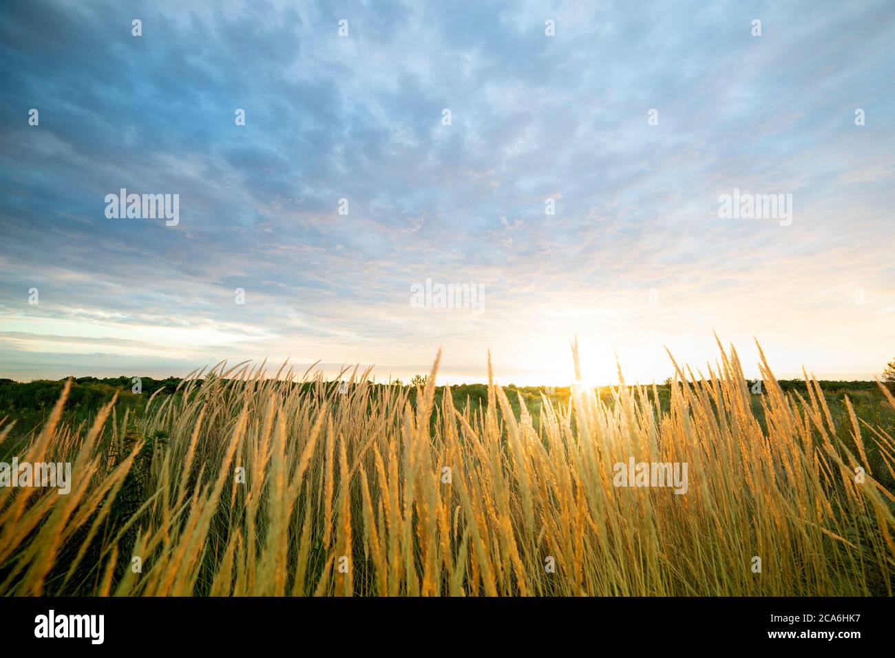 Porto caleri hi-res stock photography and images - Alamy