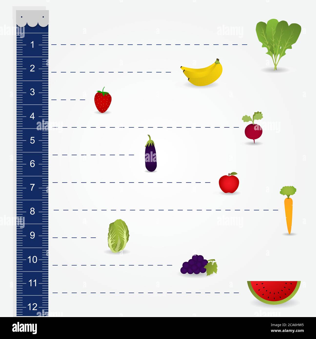 Tape measure pointing a type of fruit or vegetable Stock Vector Image ...