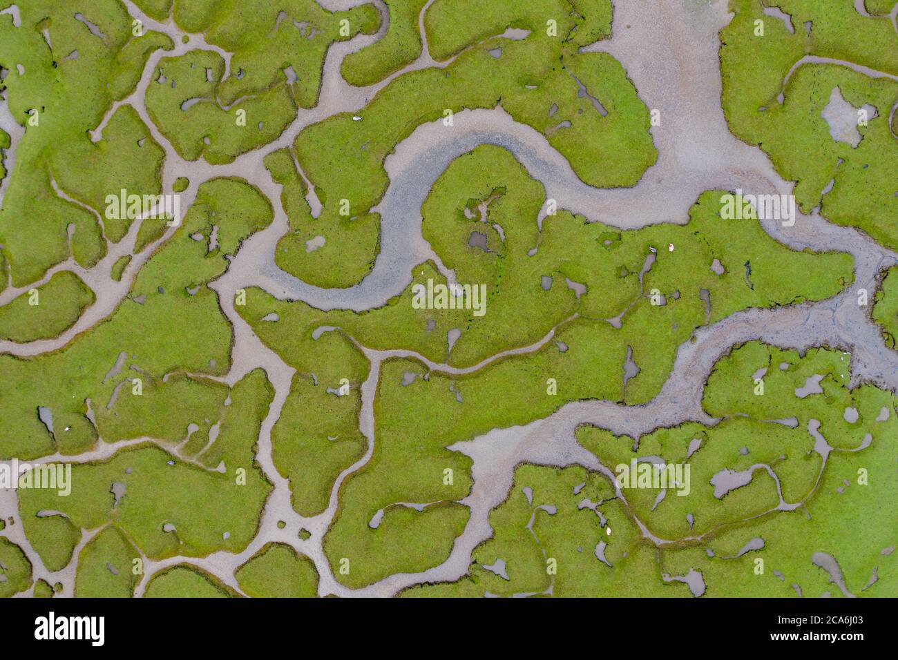 Mulranny salt marshes, Mayo, Ireland Stock Photo - Alamy