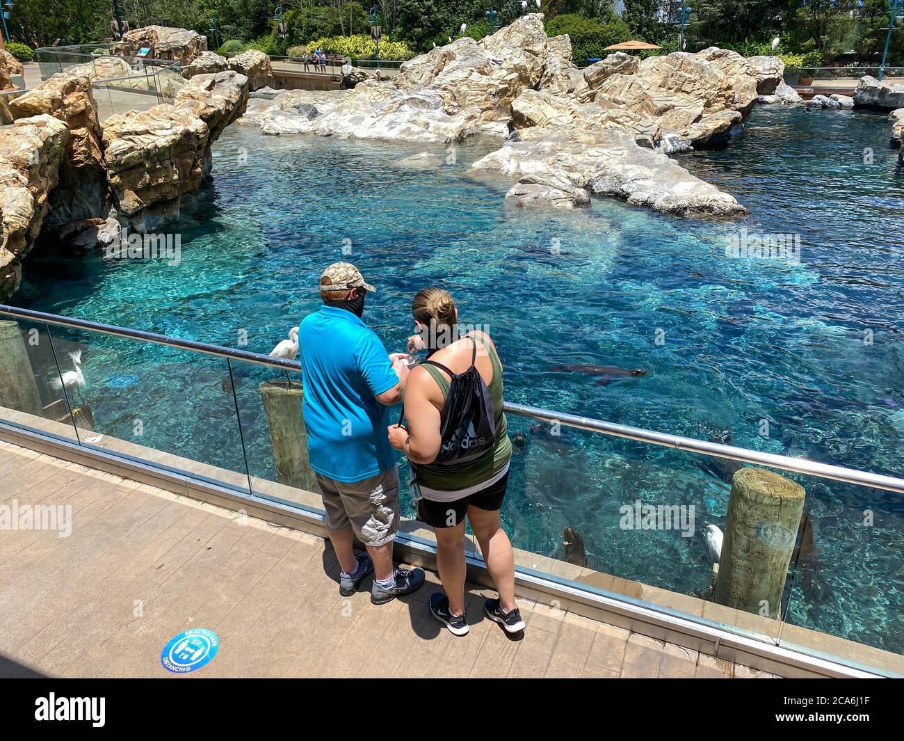 Orlando,FL/USA- 7/12/20: A man and woman feeding fish to the harbor ...