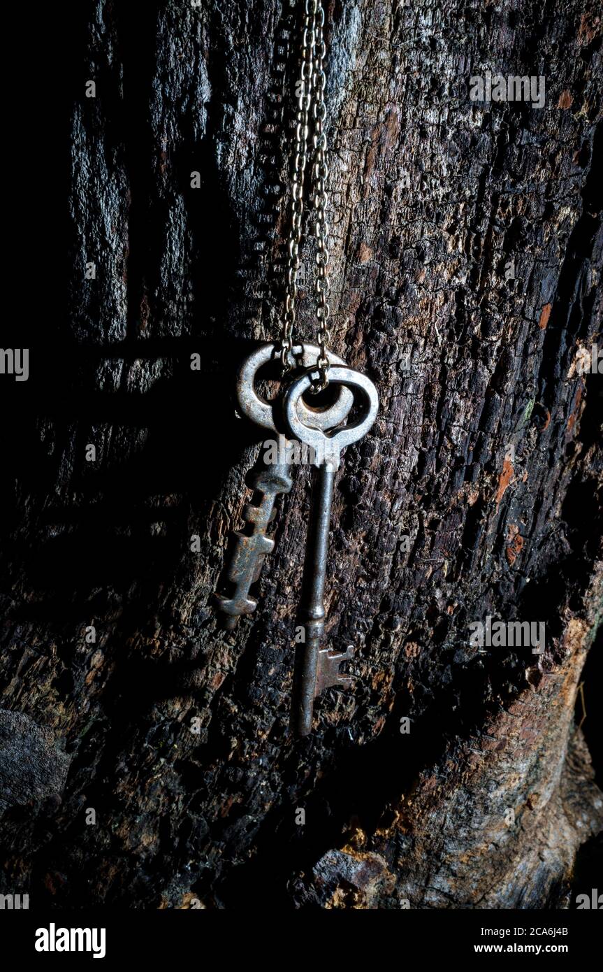 Old antique skeleton keys hanging from metal chain attached to old tree ...