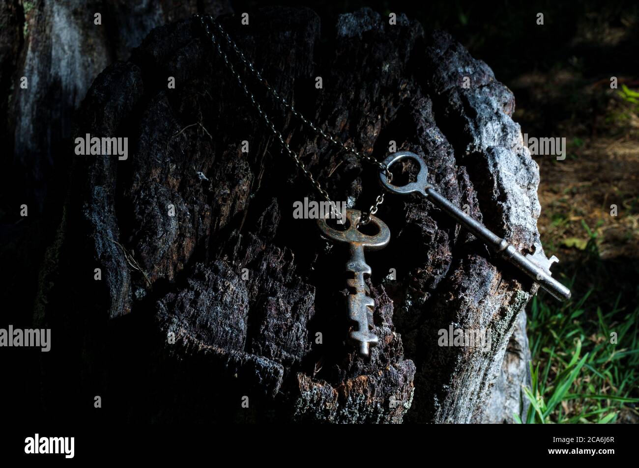 Old antique skeleton keys hanging from metal chain attached to old tree ...