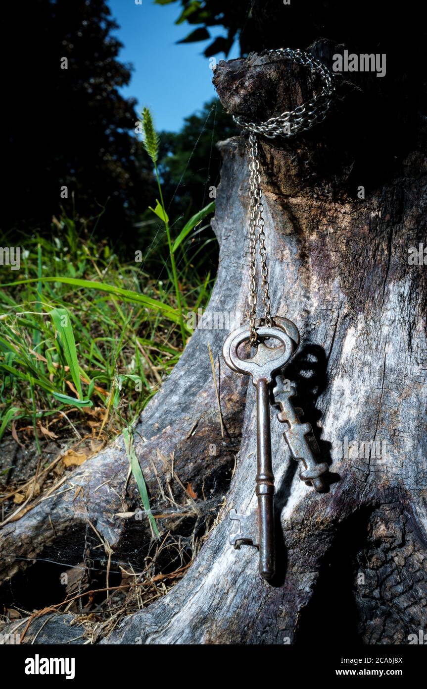 Old antique skeleton keys hanging from metal chain attached to old tree ...