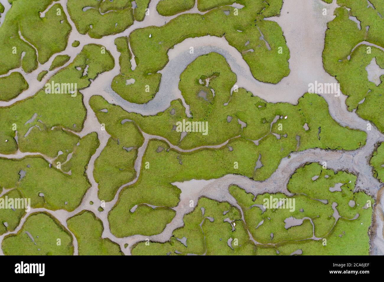 Mulranny salt marshes, Mayo, Ireland Stock Photo - Alamy